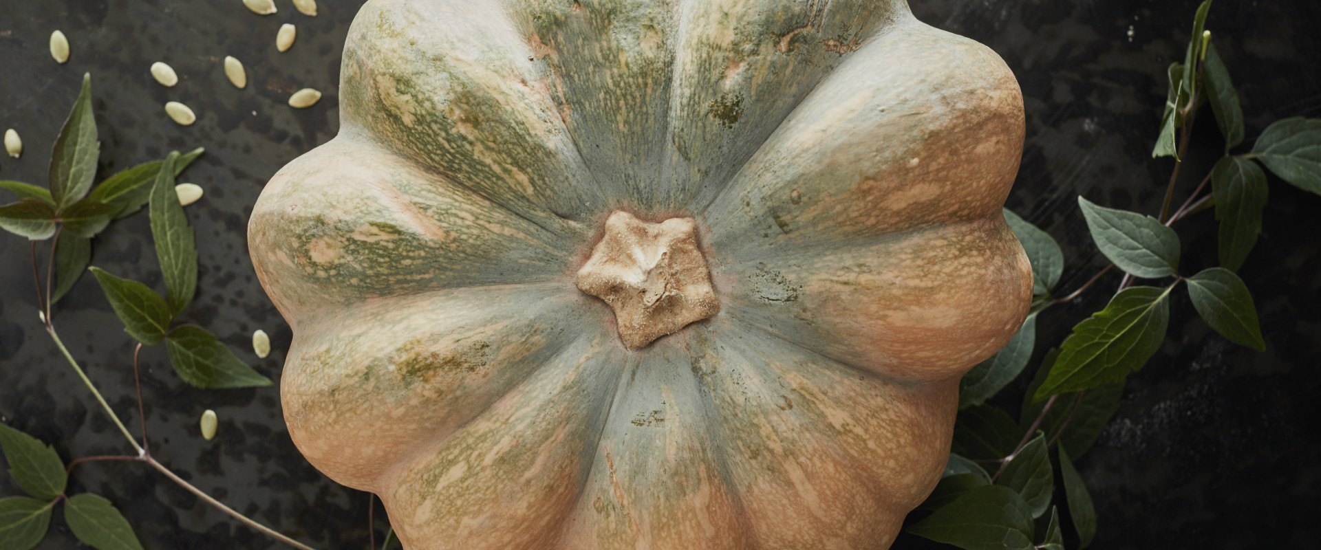 Rob The Gourmets' Market